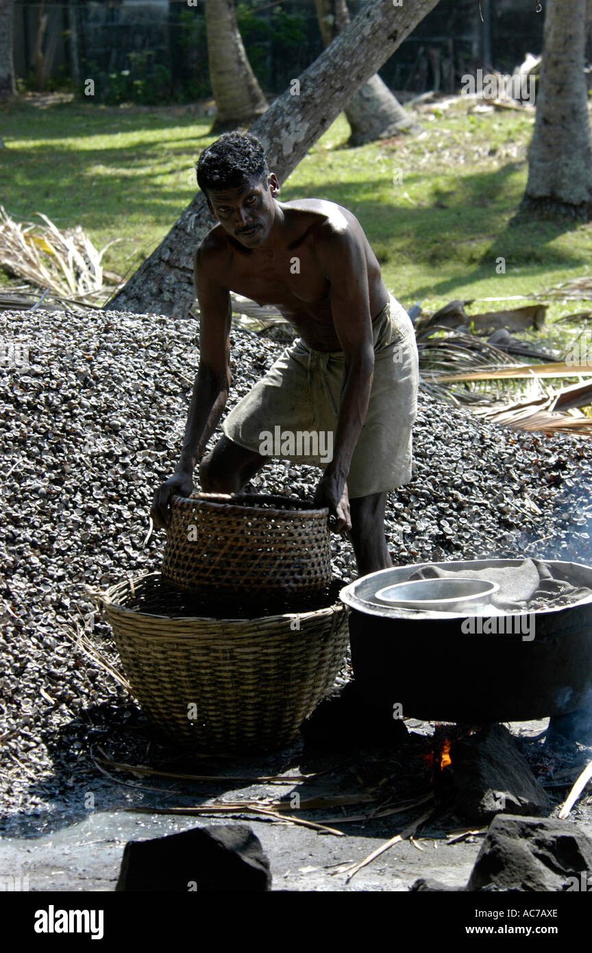 LIME SHELL PROCESSING NEAR BACKWATERS OF KUMBALANGHI Stock Photo - Alamy