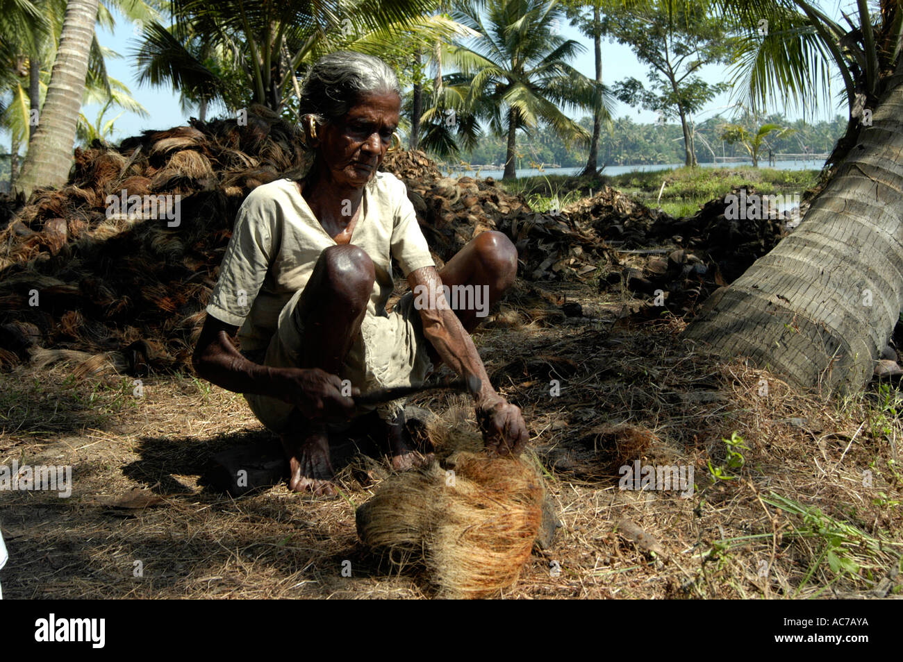 COCONUT FIBRE EXTRACTION IN THE TRADITIONAL WAY BY BEATING THE OUTER ...
