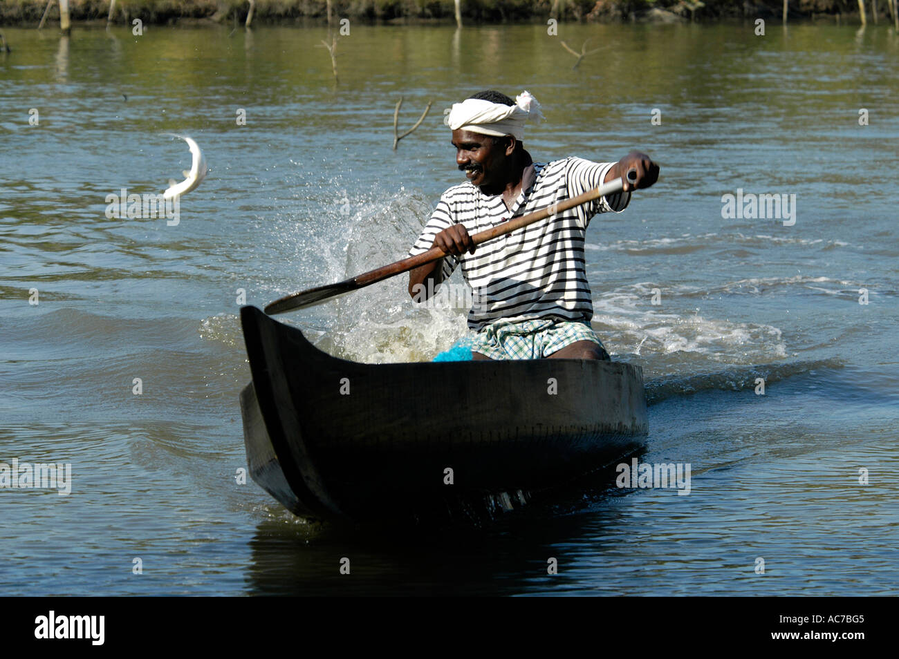 FISH FARM WITH FISH JUMPING KUMBALANGHI MODEL TOURISM VILLAGE NEAR ...