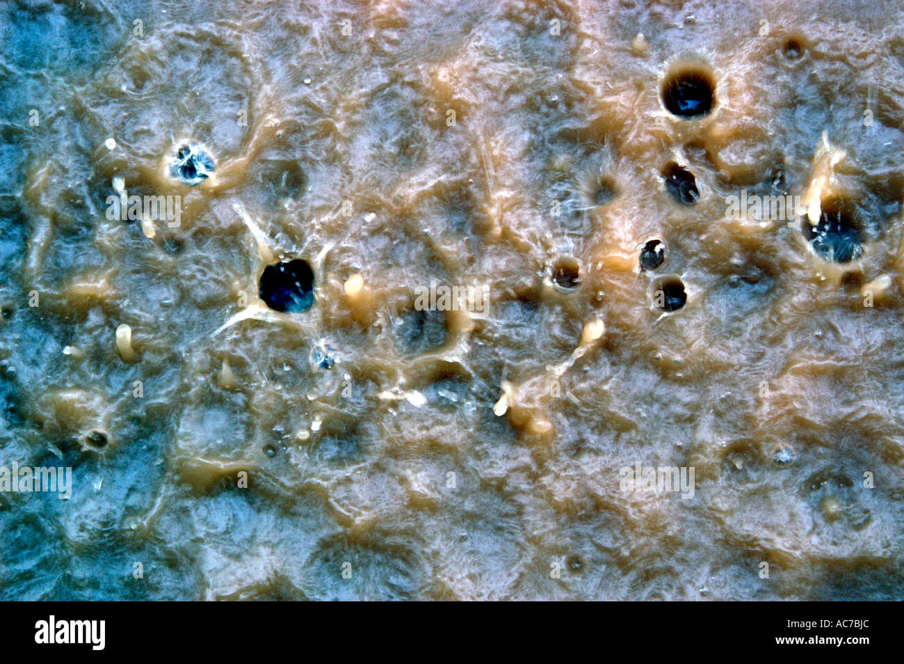 RAIN WATER DROPS FALLING ON EARTH Stock Photo - Alamy