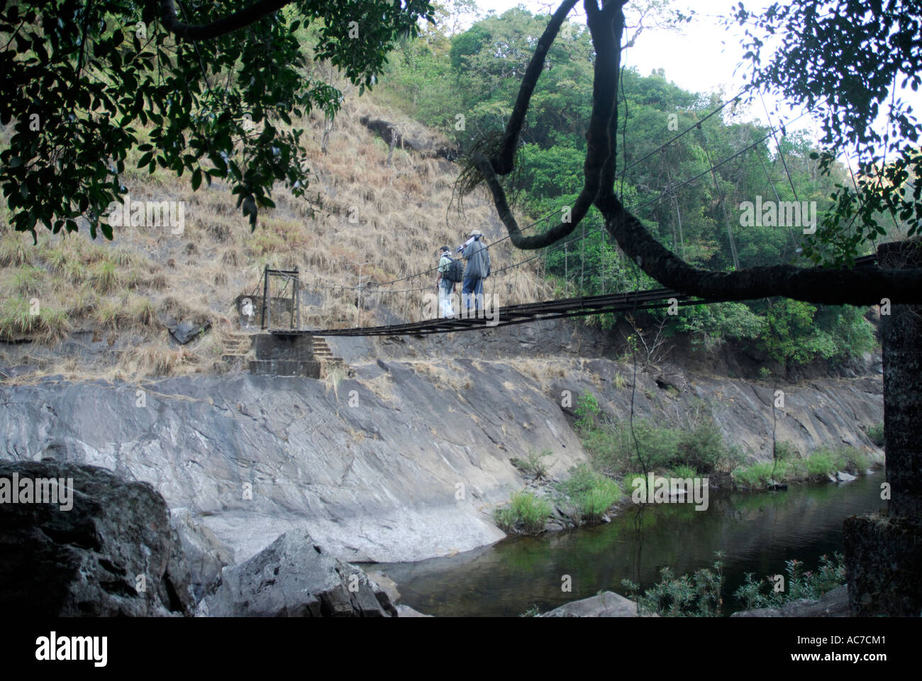 TREK PATH TO KUNTHIPUZHA SILENT VALLEY NATIONAL PARK PALAKKAD DIST ...