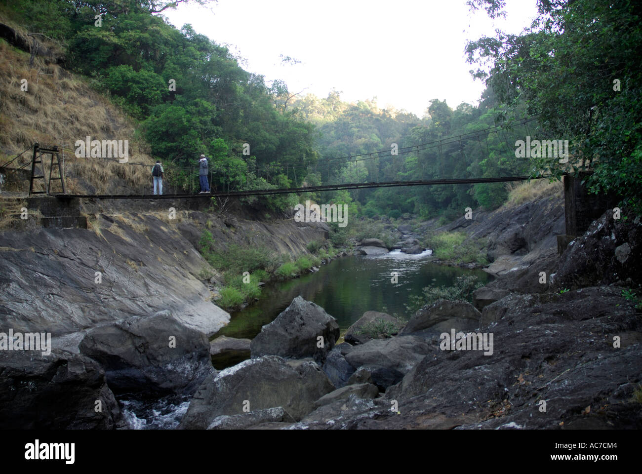 TREK PATH TO KUNTHIPUZHA SILENT VALLEY NATIONAL PARK PALAKKAD DIST ...