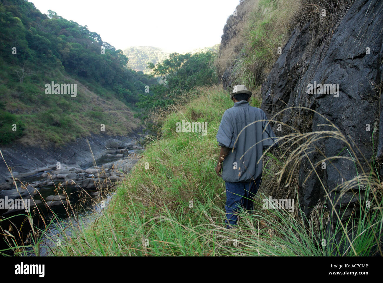 TREK PATH TO KUNTHIPUZHA SILENT VALLEY NATIONAL PARK PALAKKAD DIST ...