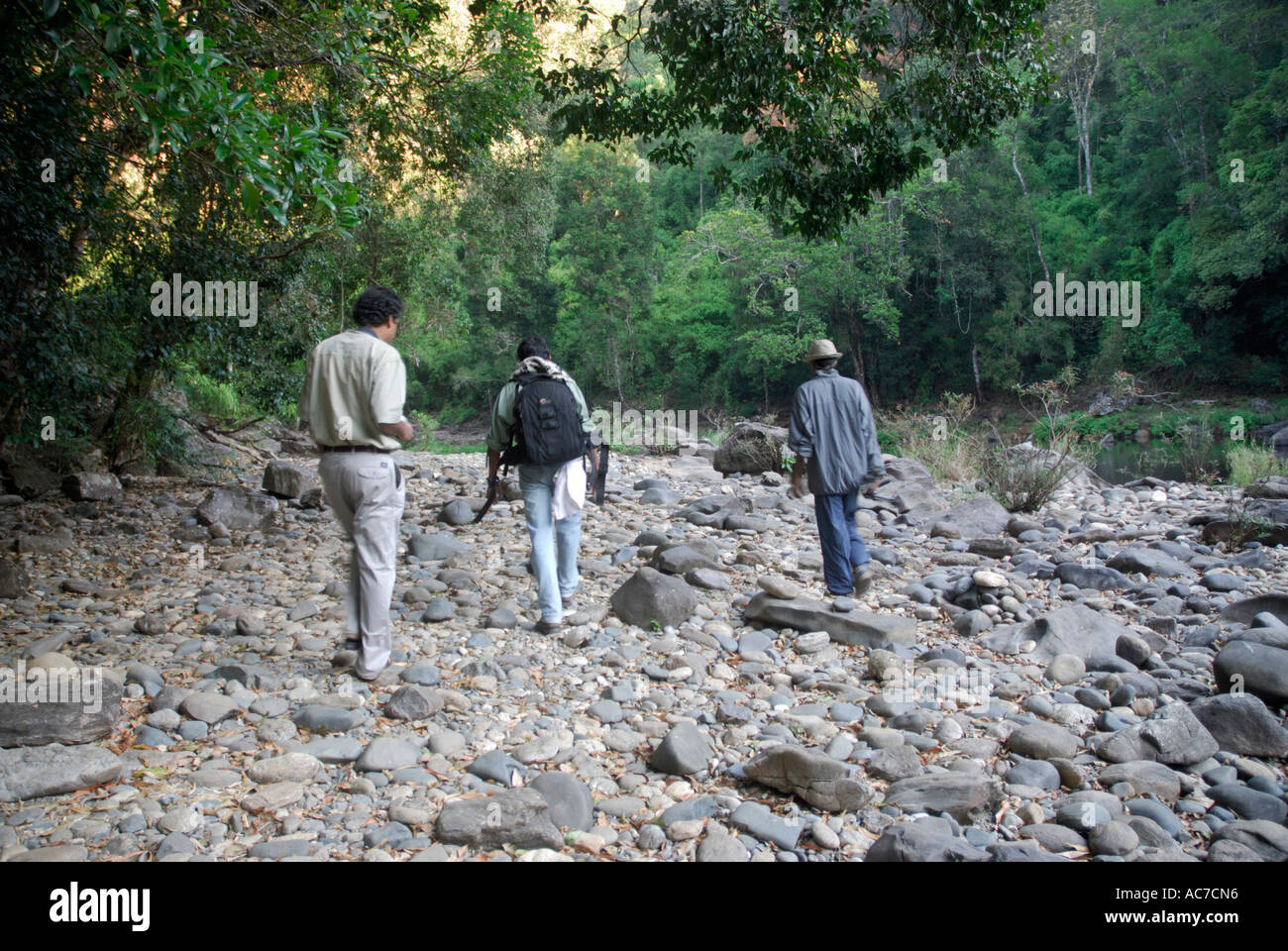 TREK PATH TO KUNTHIPUZHA SILENT VALLEY NATIONAL PARK PALAKKAD DIST ...