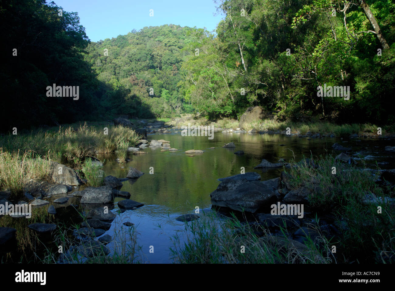 KUNTHIPUZHA SILENT VALLEY NATIONAL PARK PALAKKAD DIST Stock Photo - Alamy