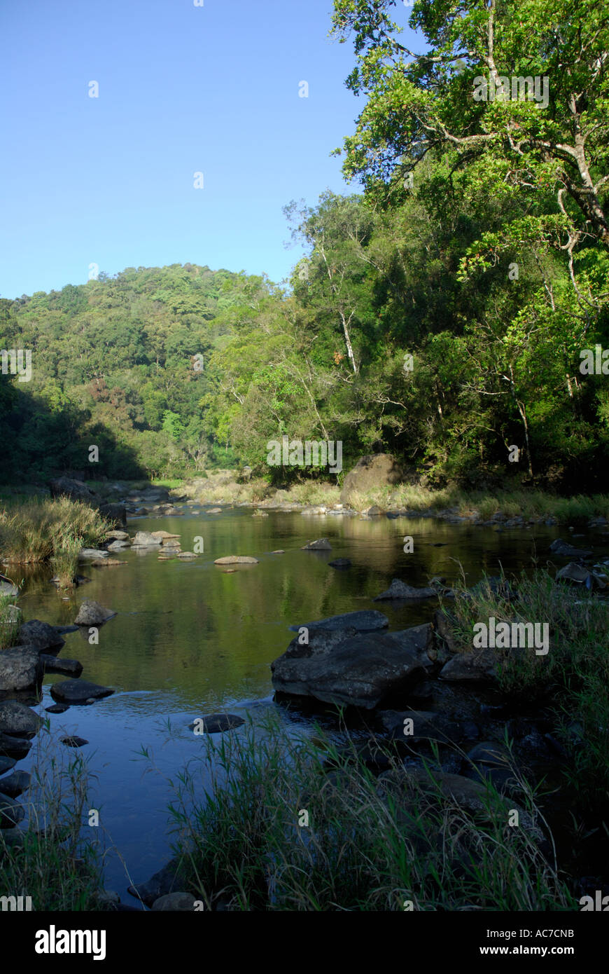 Nilgiri biosphere nature park hi-res stock photography and images - Alamy