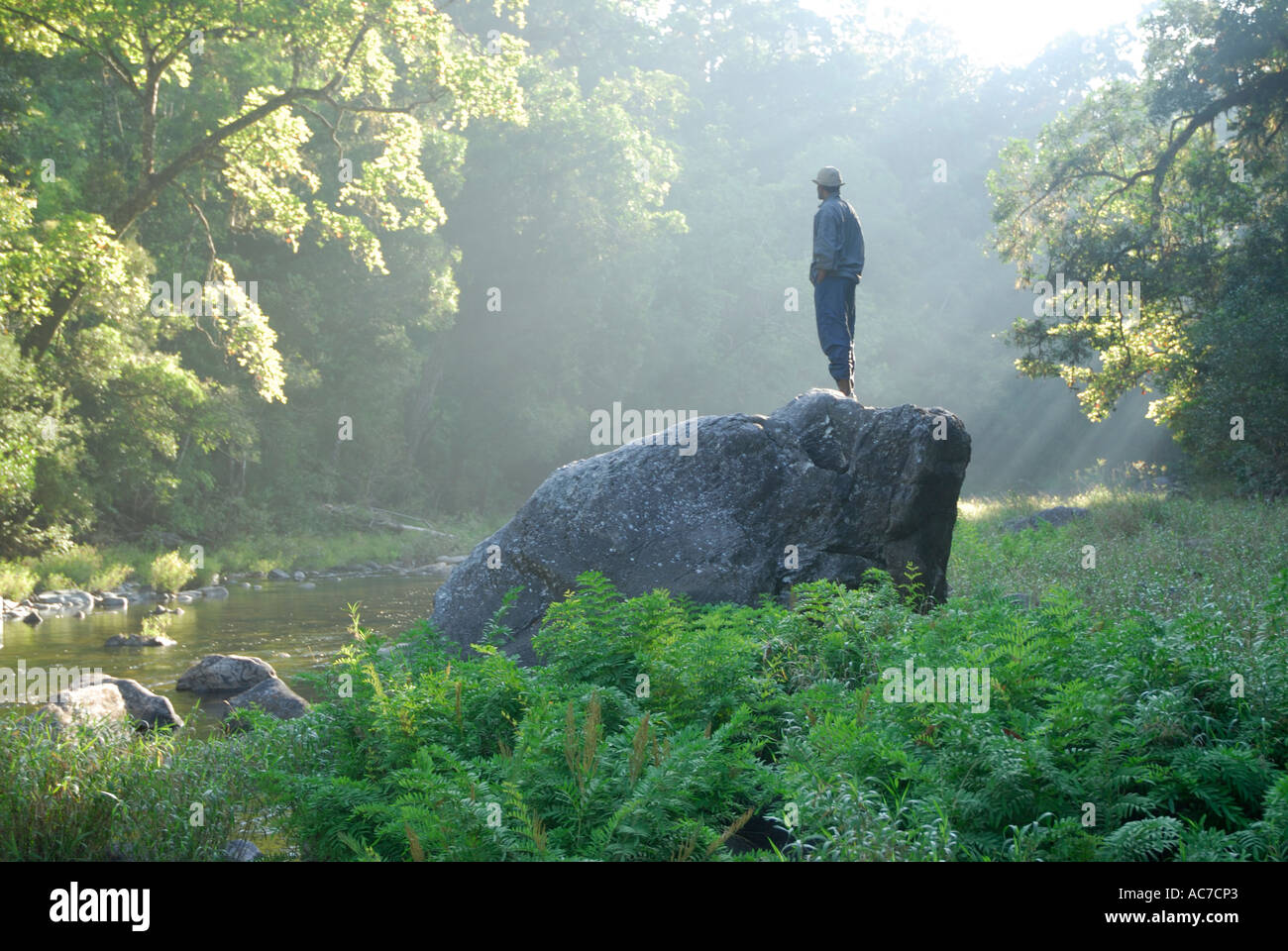 Nilgiri dist hi-res stock photography and images - Alamy