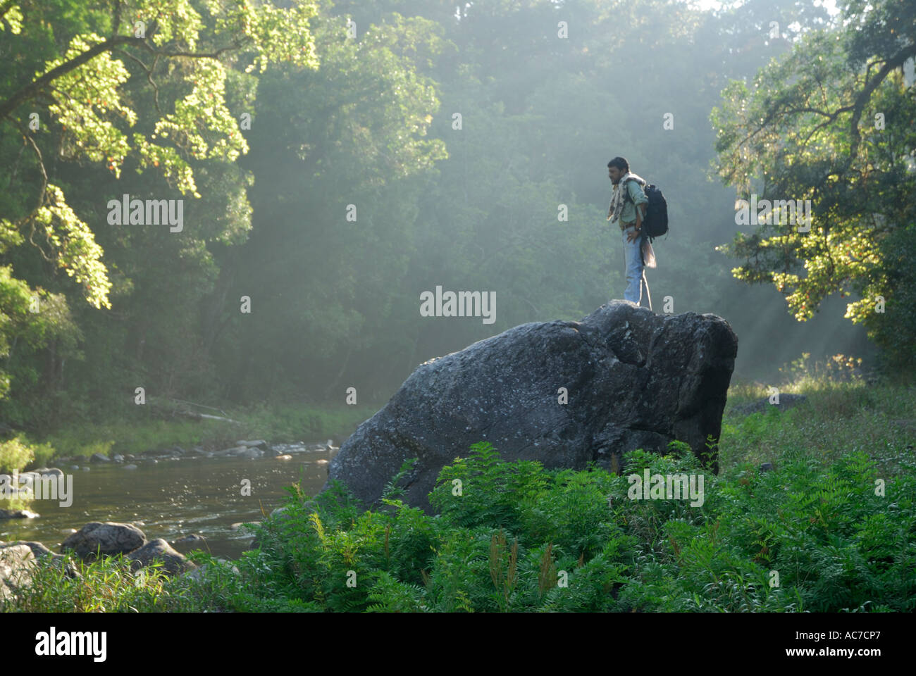RIVERSIDE KUNTHIPUZHA SILENT VALLEY NATIONAL PARK PALAKKAD DIST Stock ...
