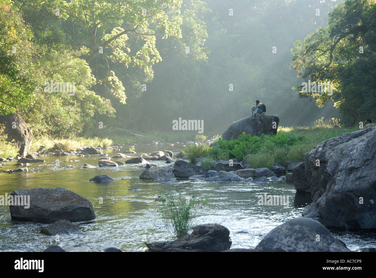 Nilgiri dist hi-res stock photography and images - Alamy