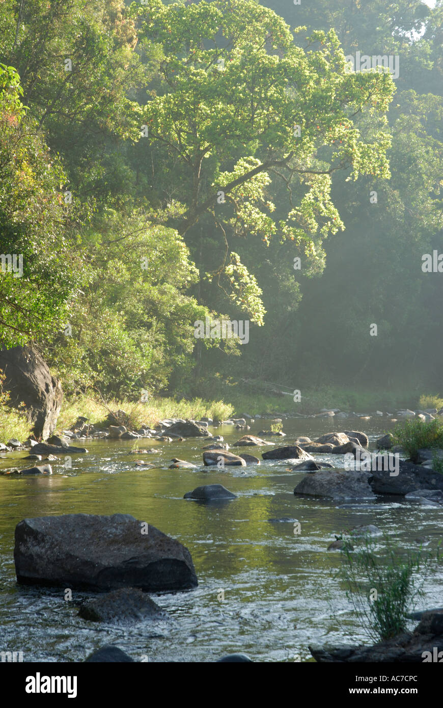 RIVERSIDE KUNTHIPUZHA SILENT VALLEY NATIONAL PARK PALAKKAD DIST Stock ...