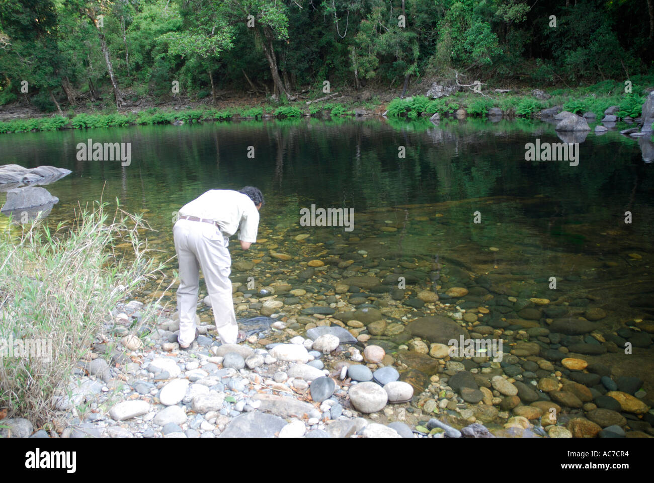 RIVERSIDE KUNTHIPUZHA SILENT VALLEY NATIONAL PARK PALAKKAD DIST Stock ...