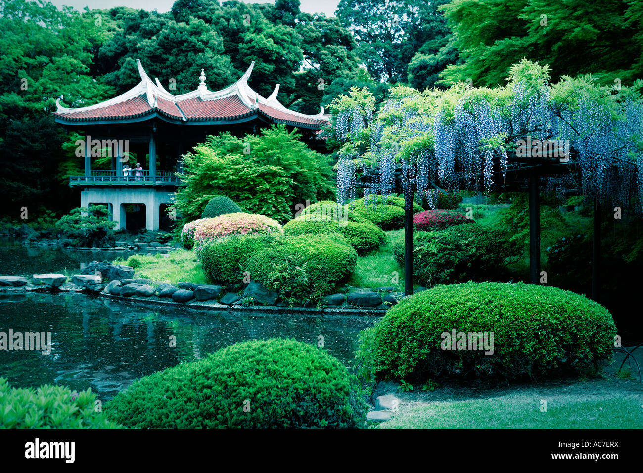Traditional Japanese garden Stock Photo - Alamy