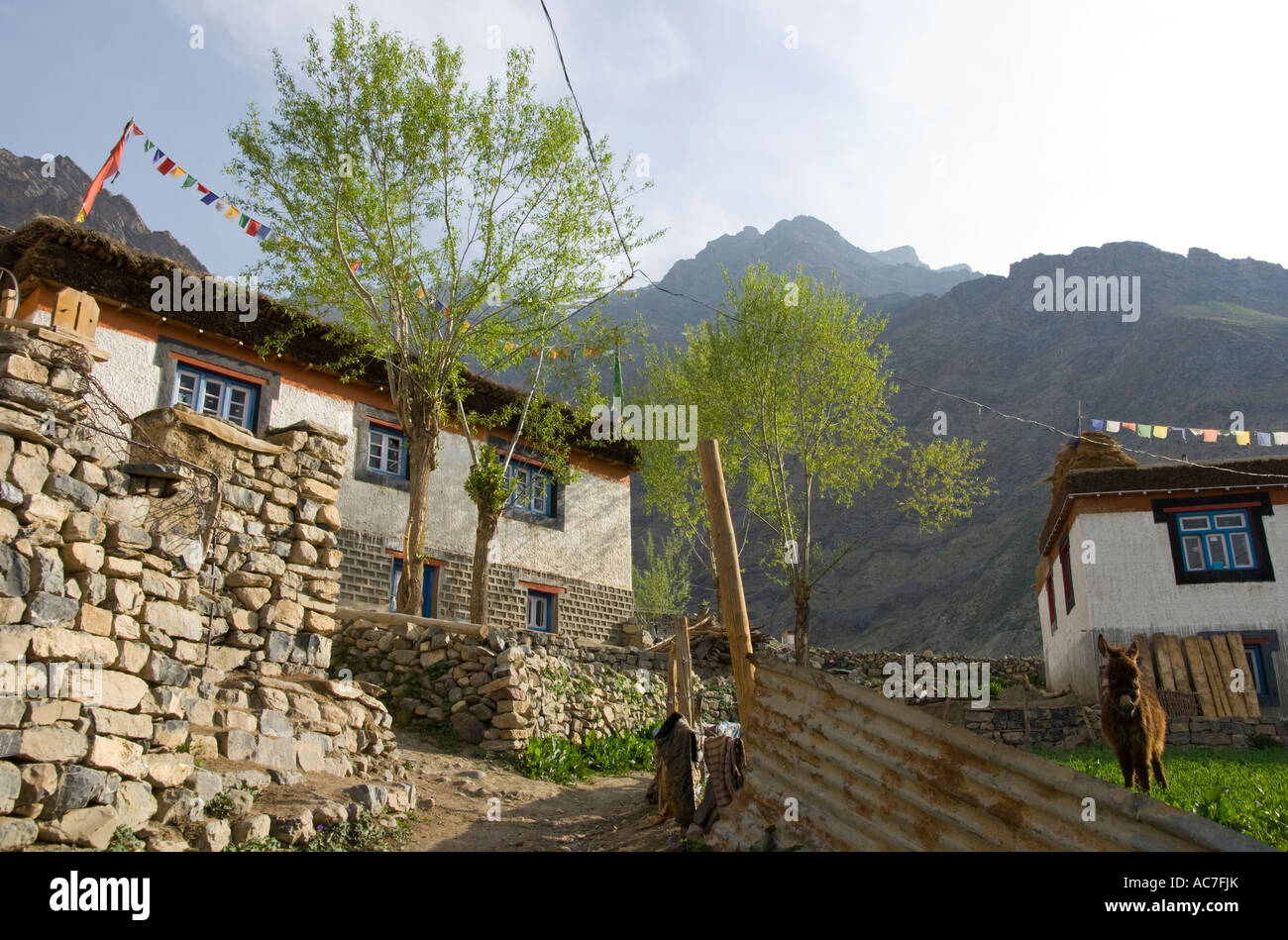 India Himachal Pradesh Spiti Pin valley Mud village street with typical ...