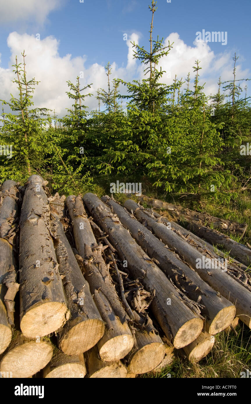Forestry commission wales hi-res stock photography and images - Alamy