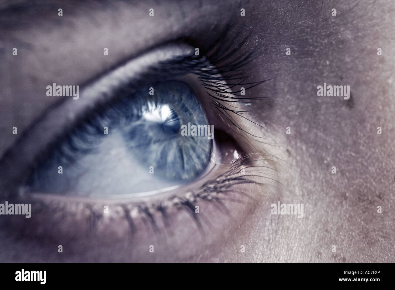 Healthy retina right eye hi-res stock photography and images - Alamy
