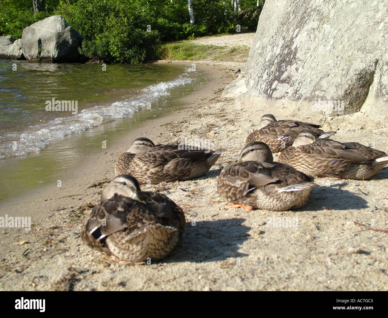 States vermont groton hi-res stock photography and images - Alamy