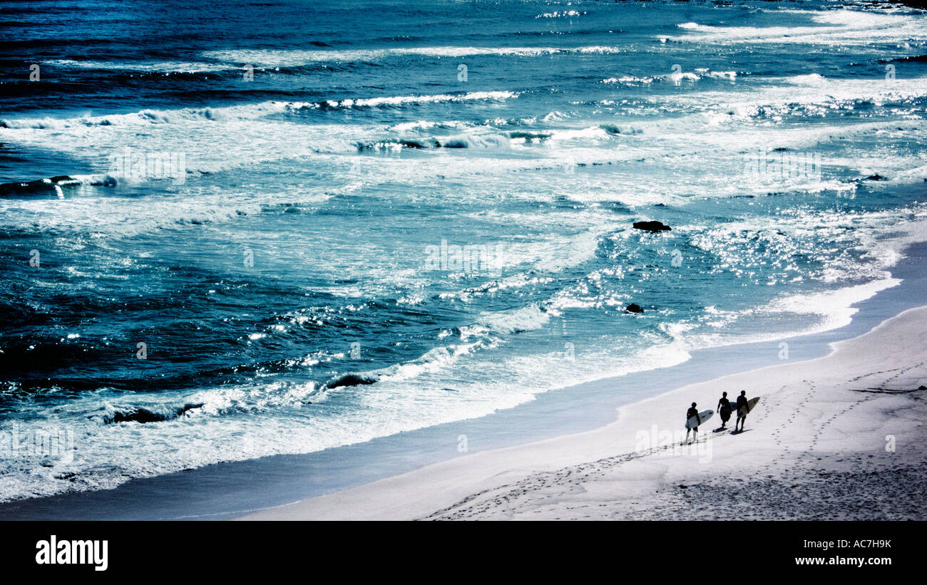Three surfers walking along the seafront Stock Photo - Alamy