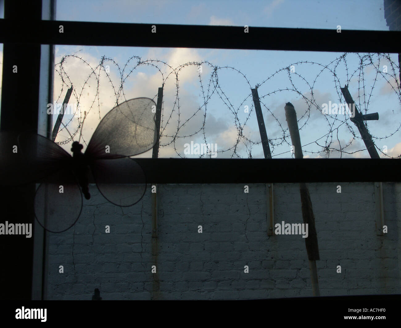 view of barbed wire high security wall through window of office in ...
