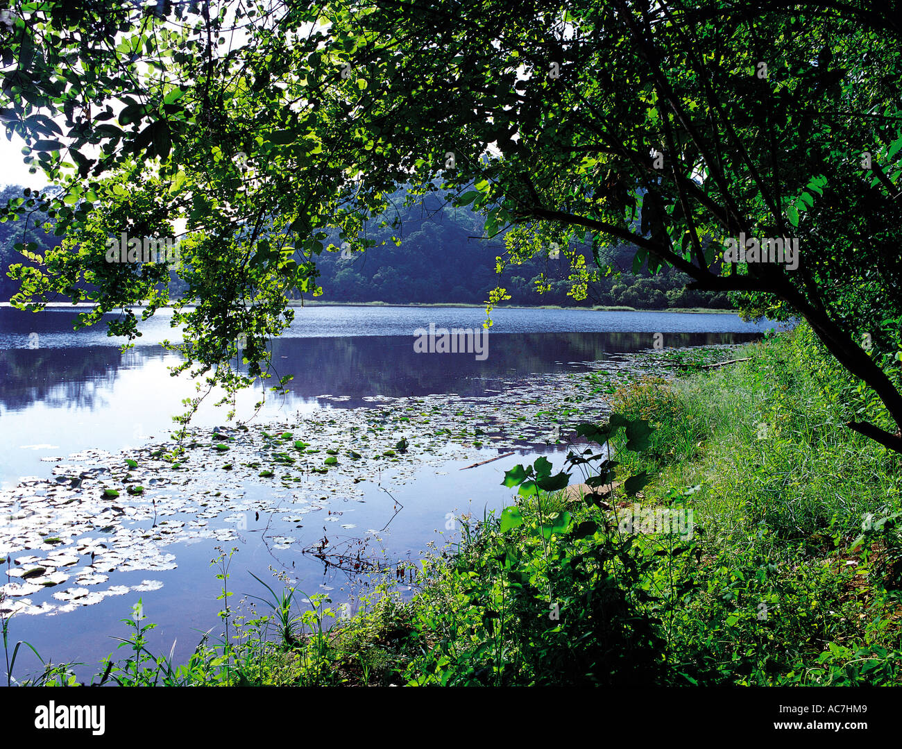Pookode lake hi-res stock photography and images - Alamy