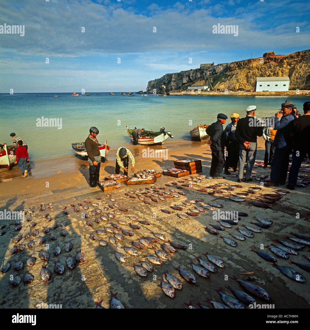 Algarve Fish Market Stock Photos & Algarve Fish Market Stock Images - Alamy
