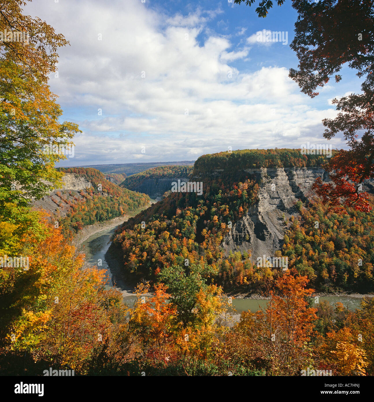 The Genesee River flows through curving gorge with autumn colour in ...