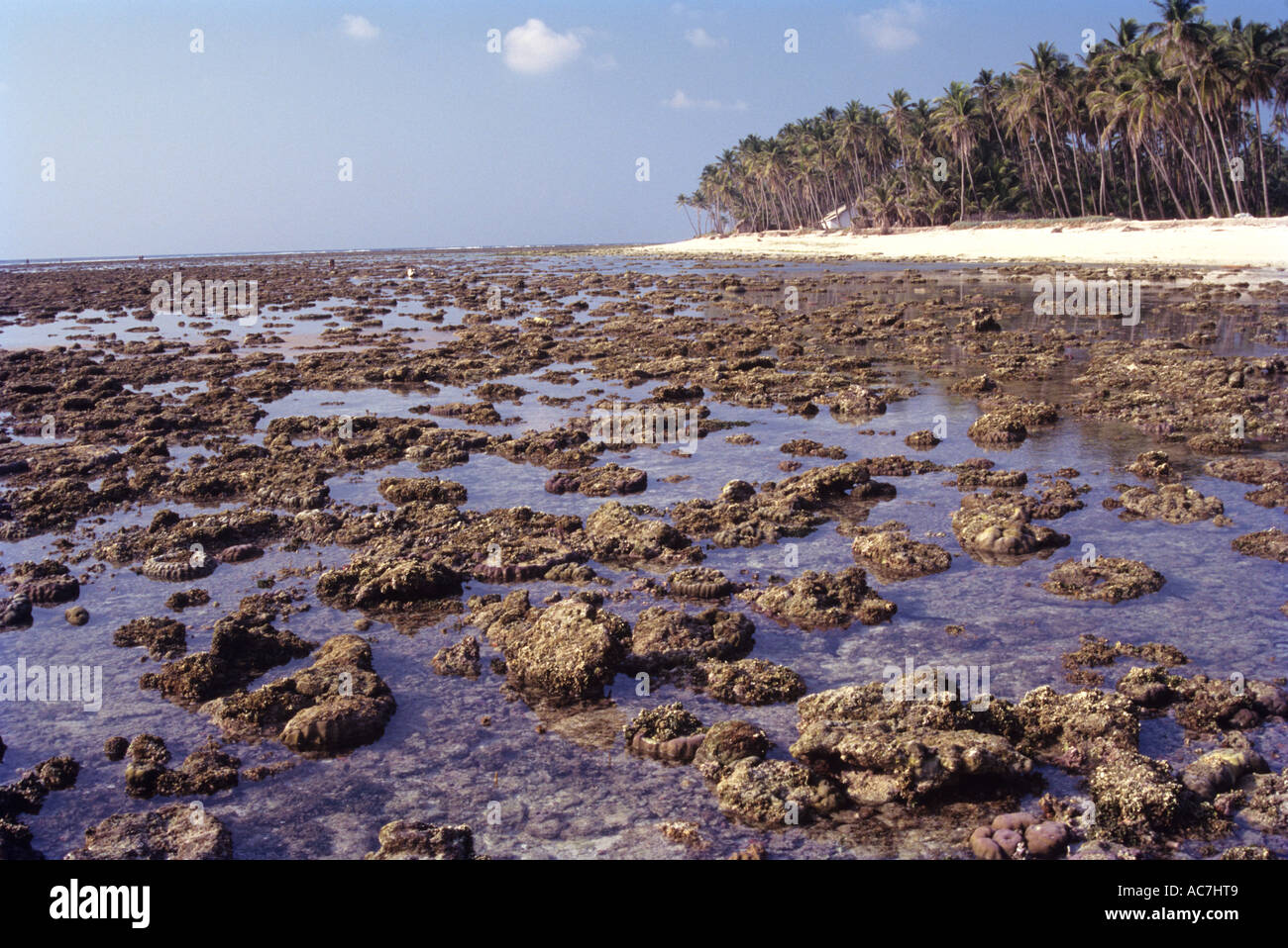 Andrott island hi-res stock photography and images - Alamy