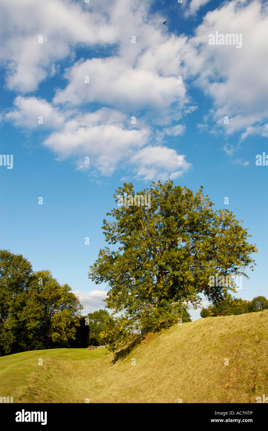 Basing House Ruins Stock Photo - Alamy