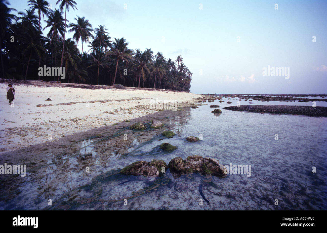 CORAL EXPOSED DURING LOW TIDE AT ANDROTT ISLAND Stock Photo - Alamy