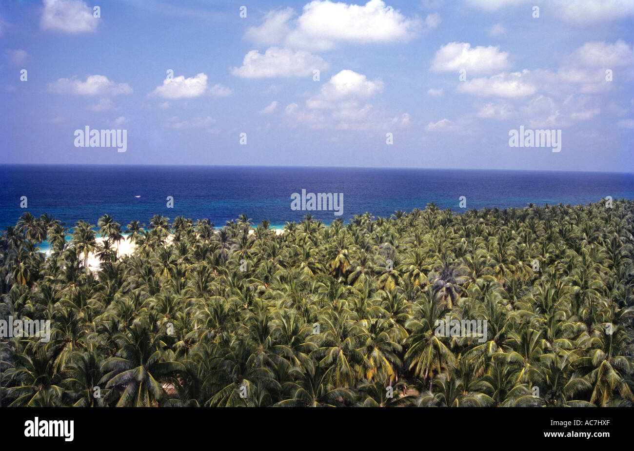 Bangaram island lakshadweep hi-res stock photography and images - Alamy