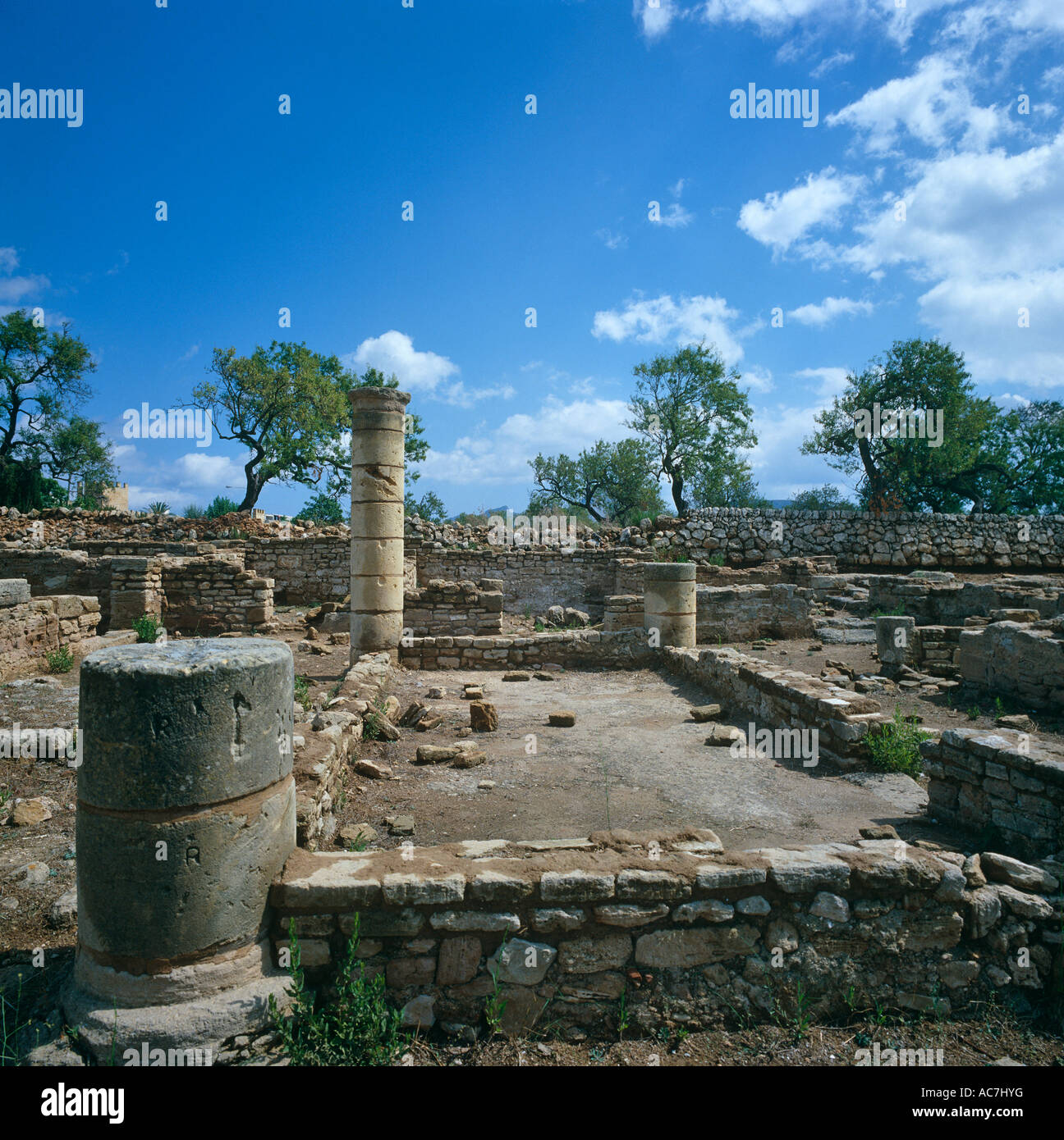 Pollentia Stock Photos & Pollentia Stock Images - Alamy