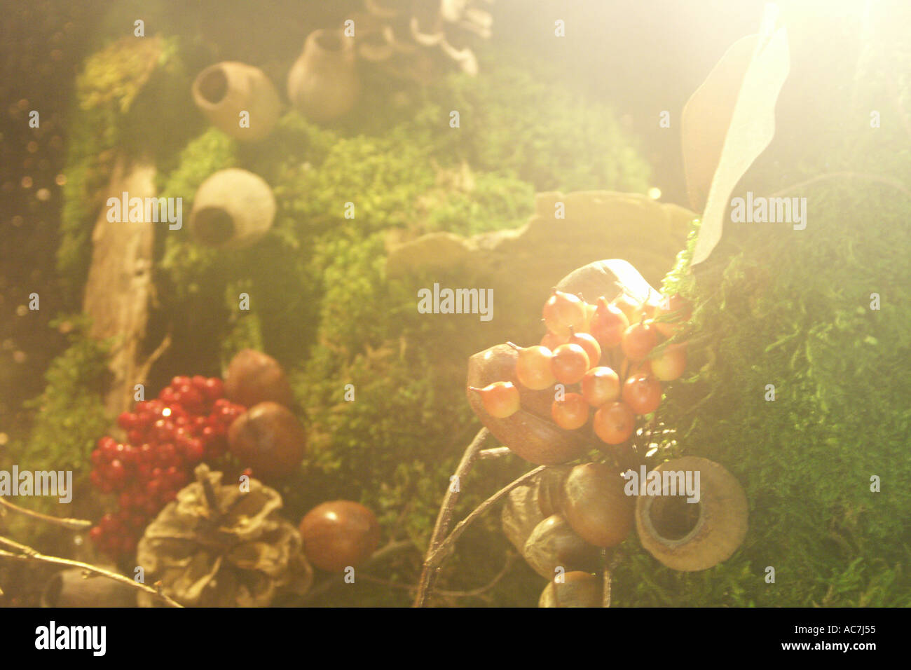 moss berry nut pods in Harrods department store christmas fairytale ...