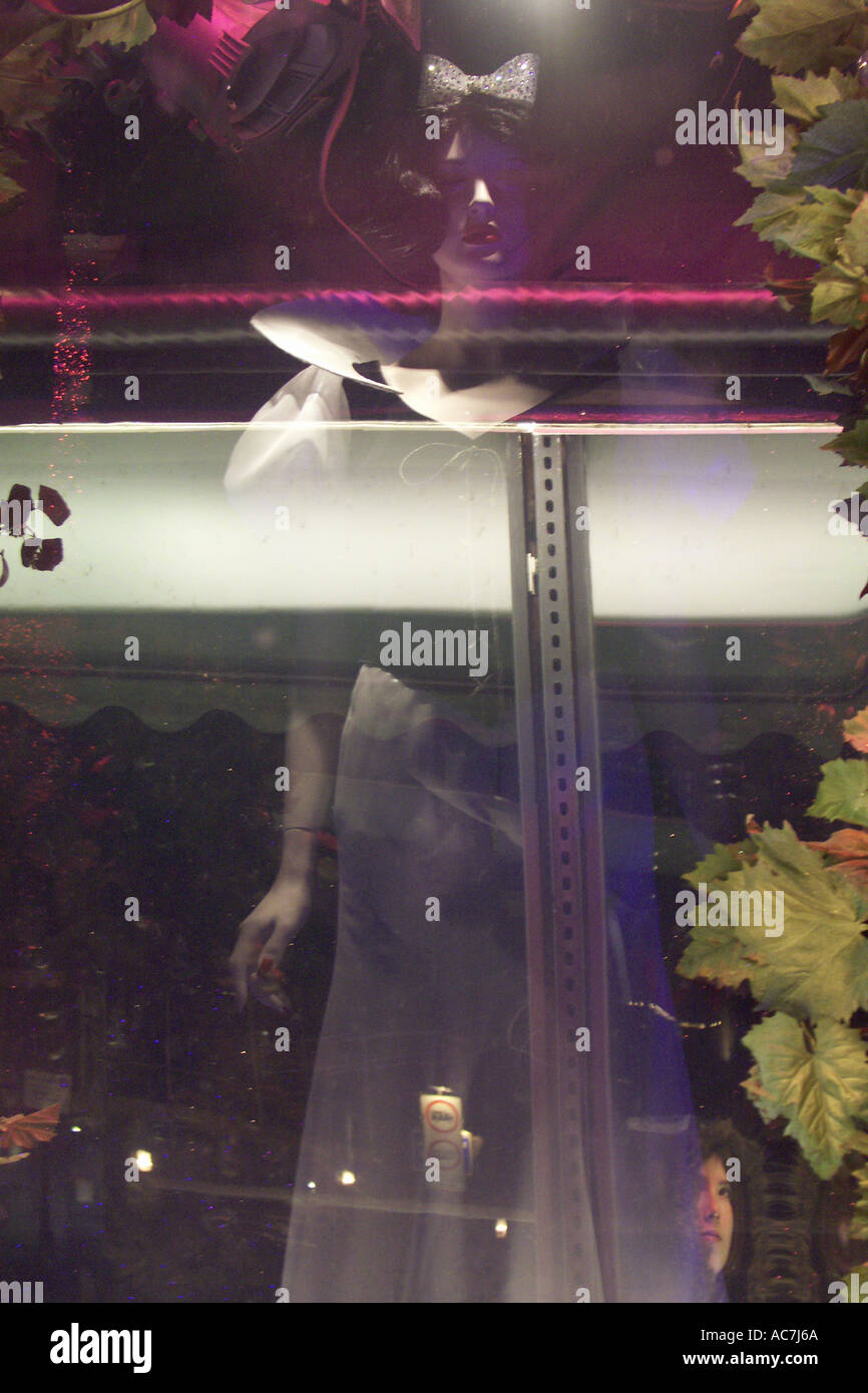 holographic snow white inside the window with reflections from the road ...