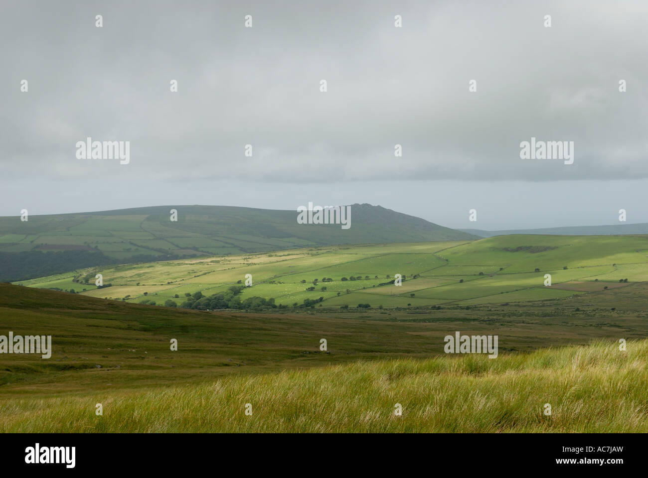 Mynydd Carningli, Mount of Angels, Pembrokeshire National Park, Wales ...
