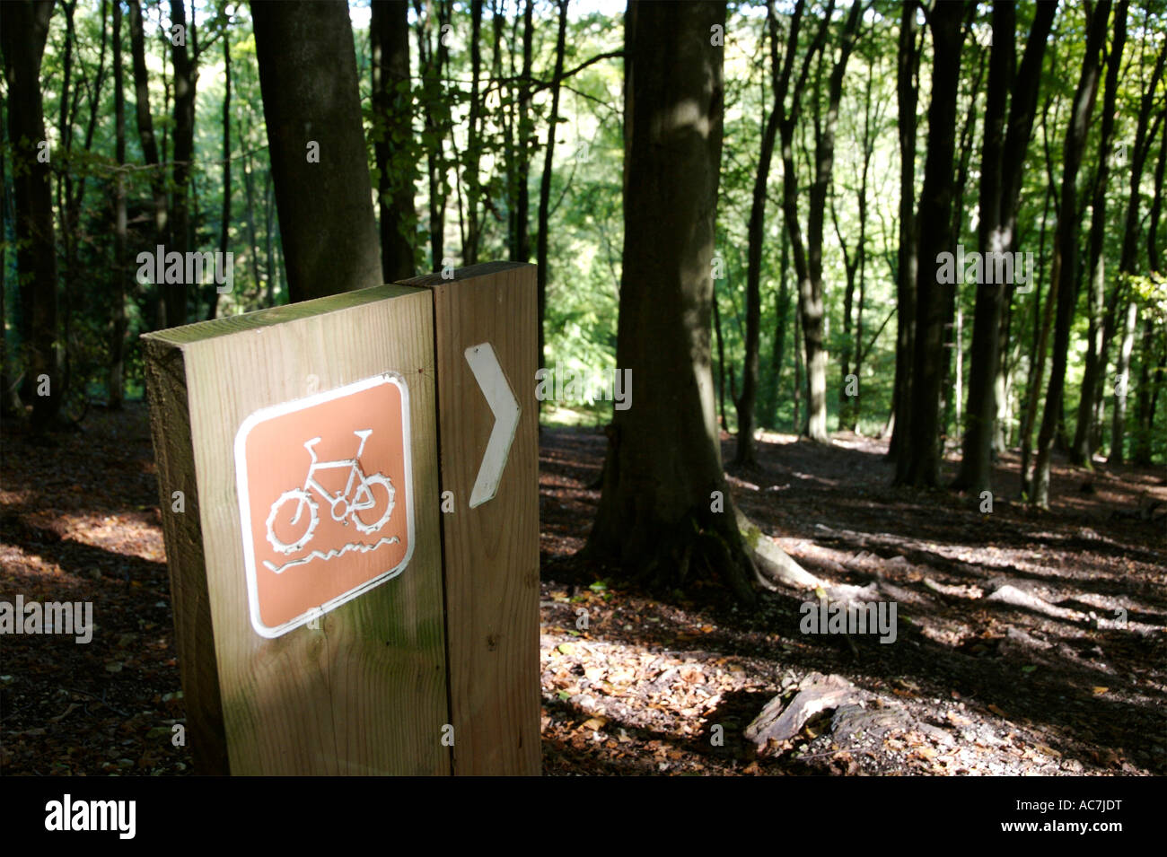 Sign indicating the cycle route Stock Photo - Alamy