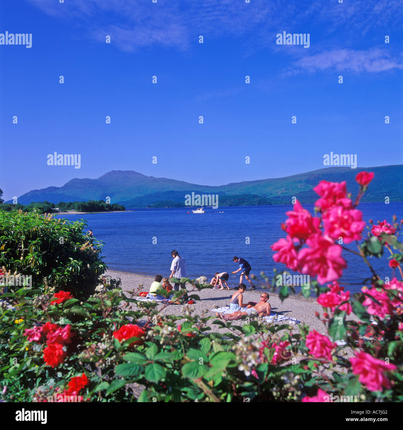 Loch lomond and the trossachs beach hi-res stock photography and images ...