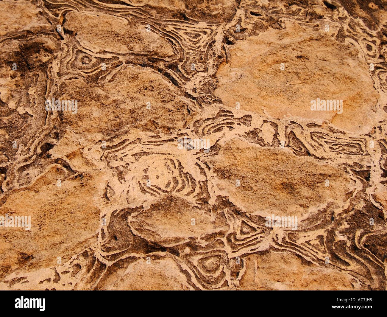 The old jail, Fremantle, Perth, Western Australia Stock Photo - Alamy