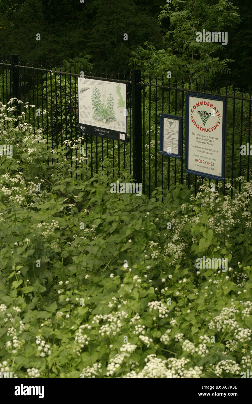 London riverside conservation park hi-res stock photography and images ...