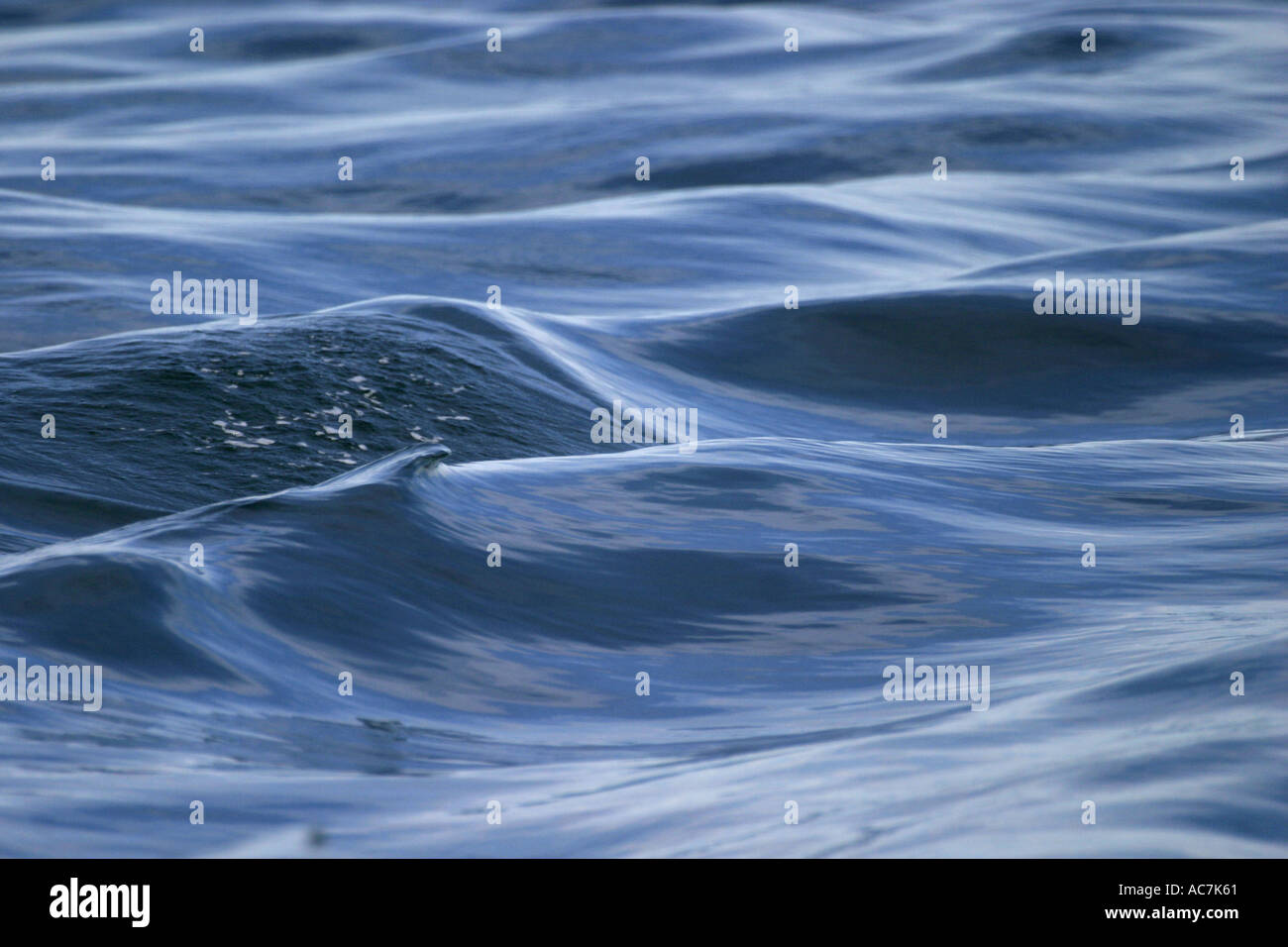 The sky reflects gorgeous shades of blue and silver on a choppy sea ...