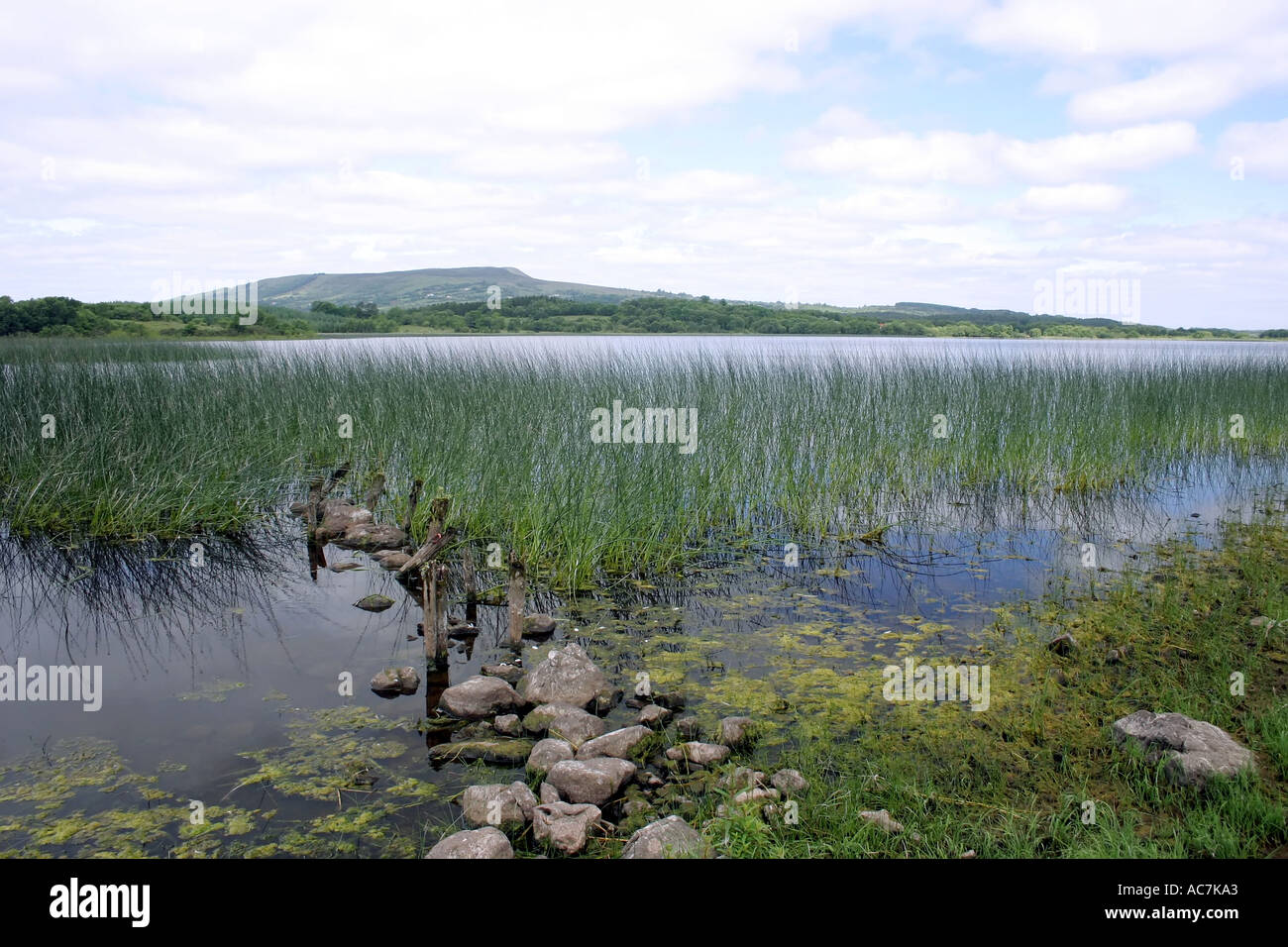 Lough Macnean High Resolution Stock Photography and Images - Alamy