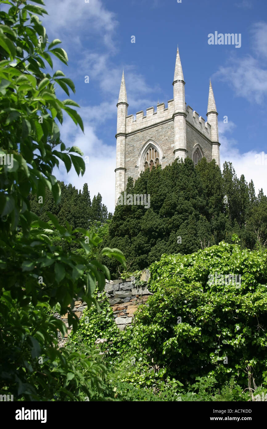 The tower of Down Cathedral, Downpatrick above the trees of the Hill of ...