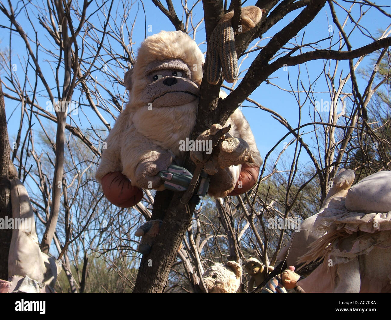 Outback of western australia hi-res stock photography and images - Alamy