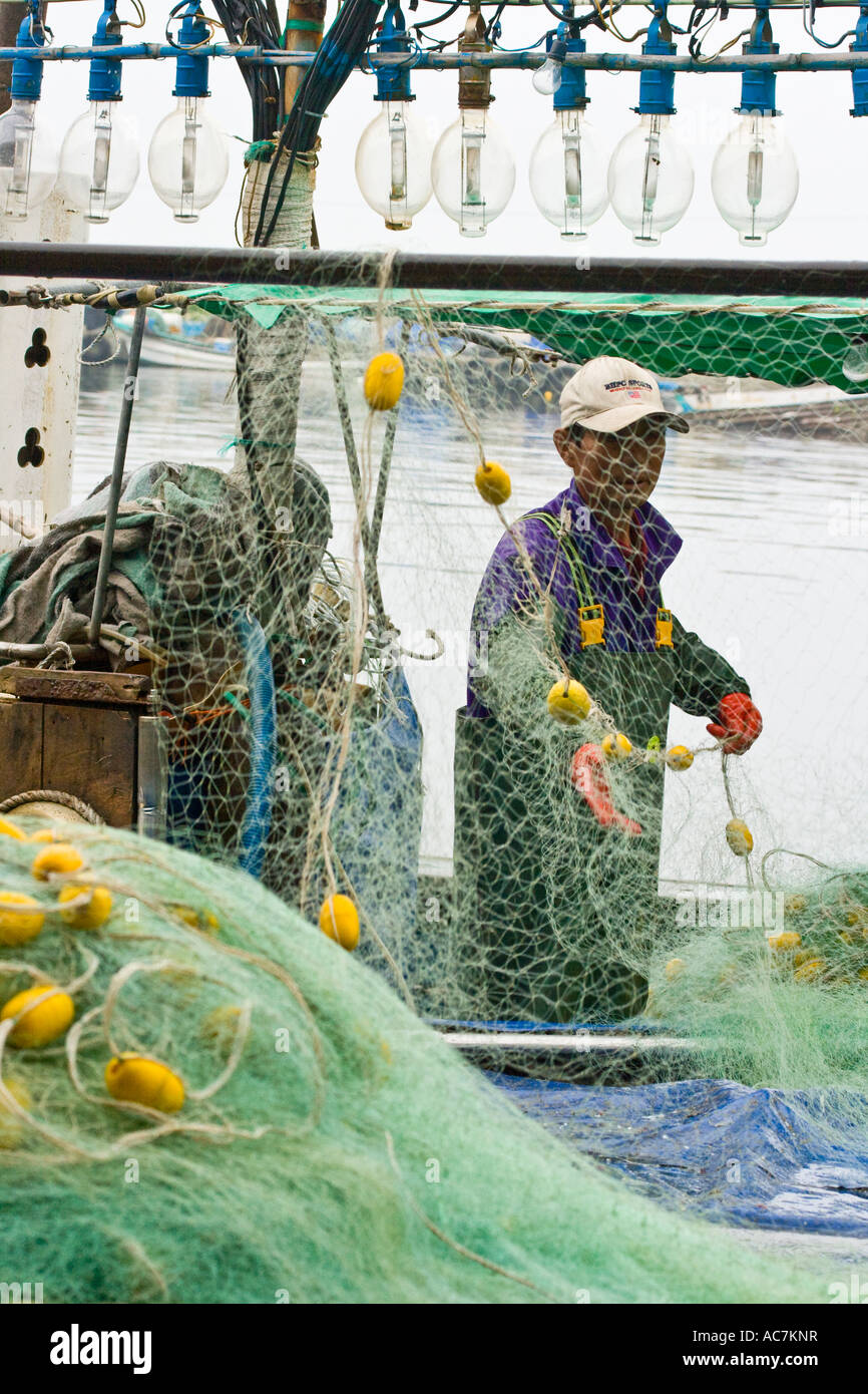 Pulling Nets and Removing Squid on Piers Cheongjin Fishing Village near ...