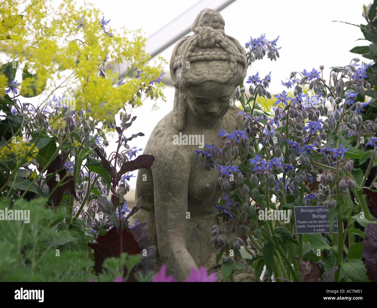 beautiful stone female statue surrounded by blue and yellow spring ...