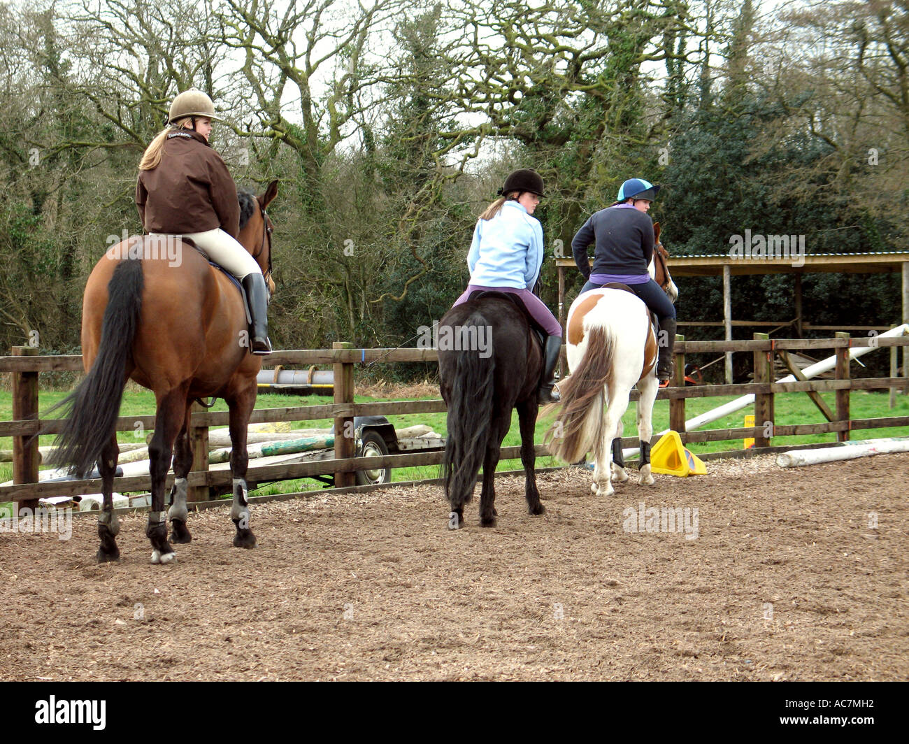 horse riding in a school Stock Photo - Alamy