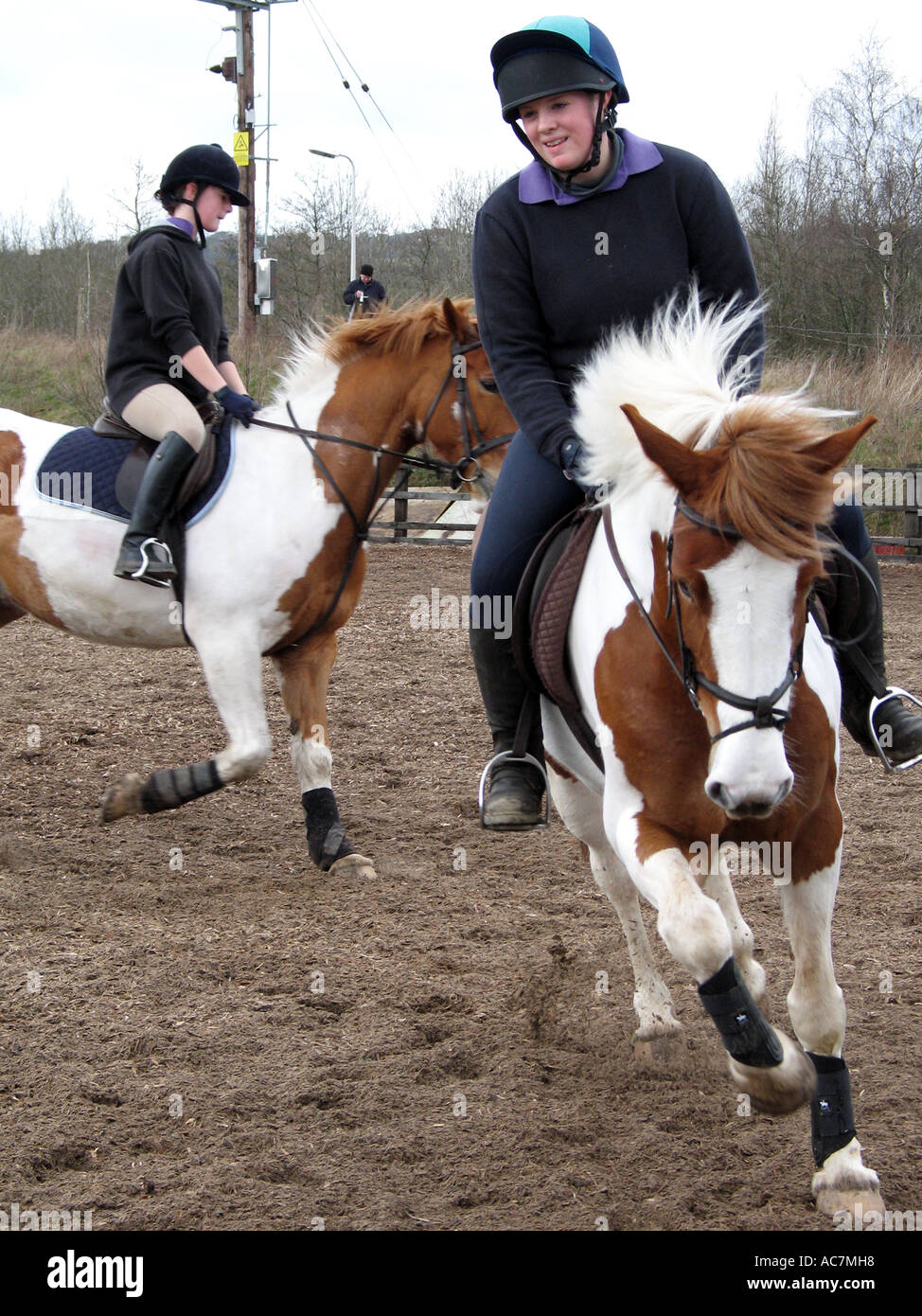 Two horses jumping hi-res stock photography and images - Alamy