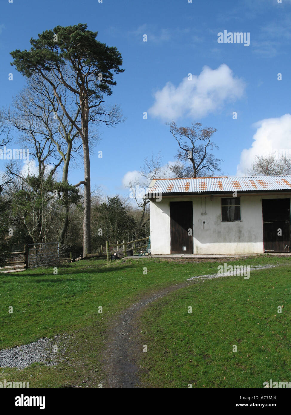 horse stables, welsh farmyard Stock Photo - Alamy