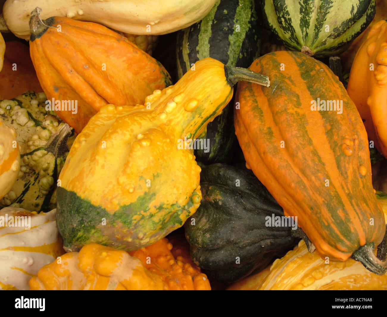 Jenny farm vermont usa hi-res stock photography and images - Alamy