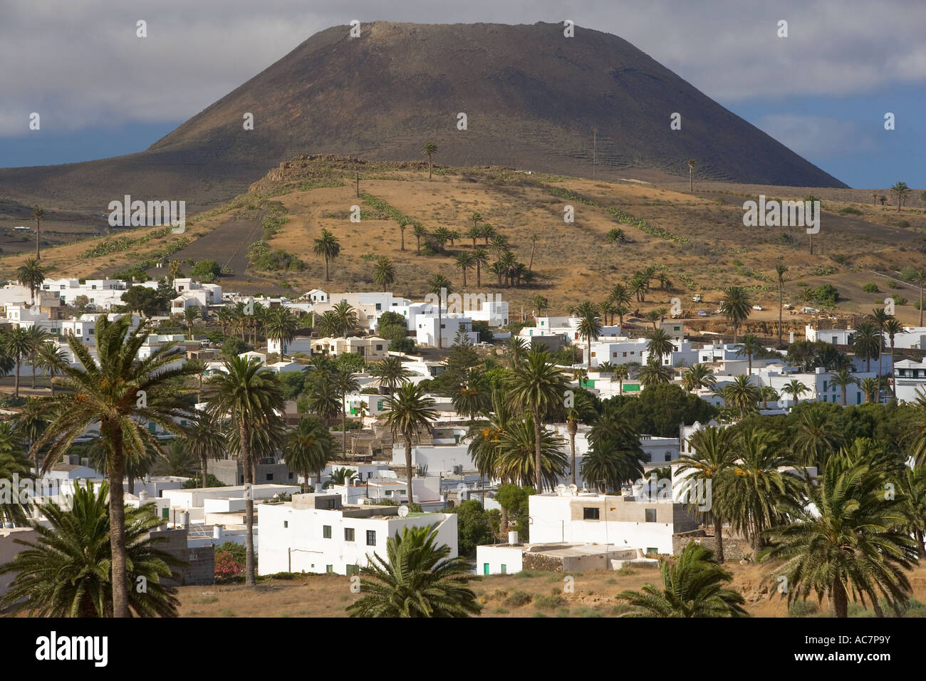 Haria Valley of one thousand palms Lanzarote Canary Islands Spain Stock ...