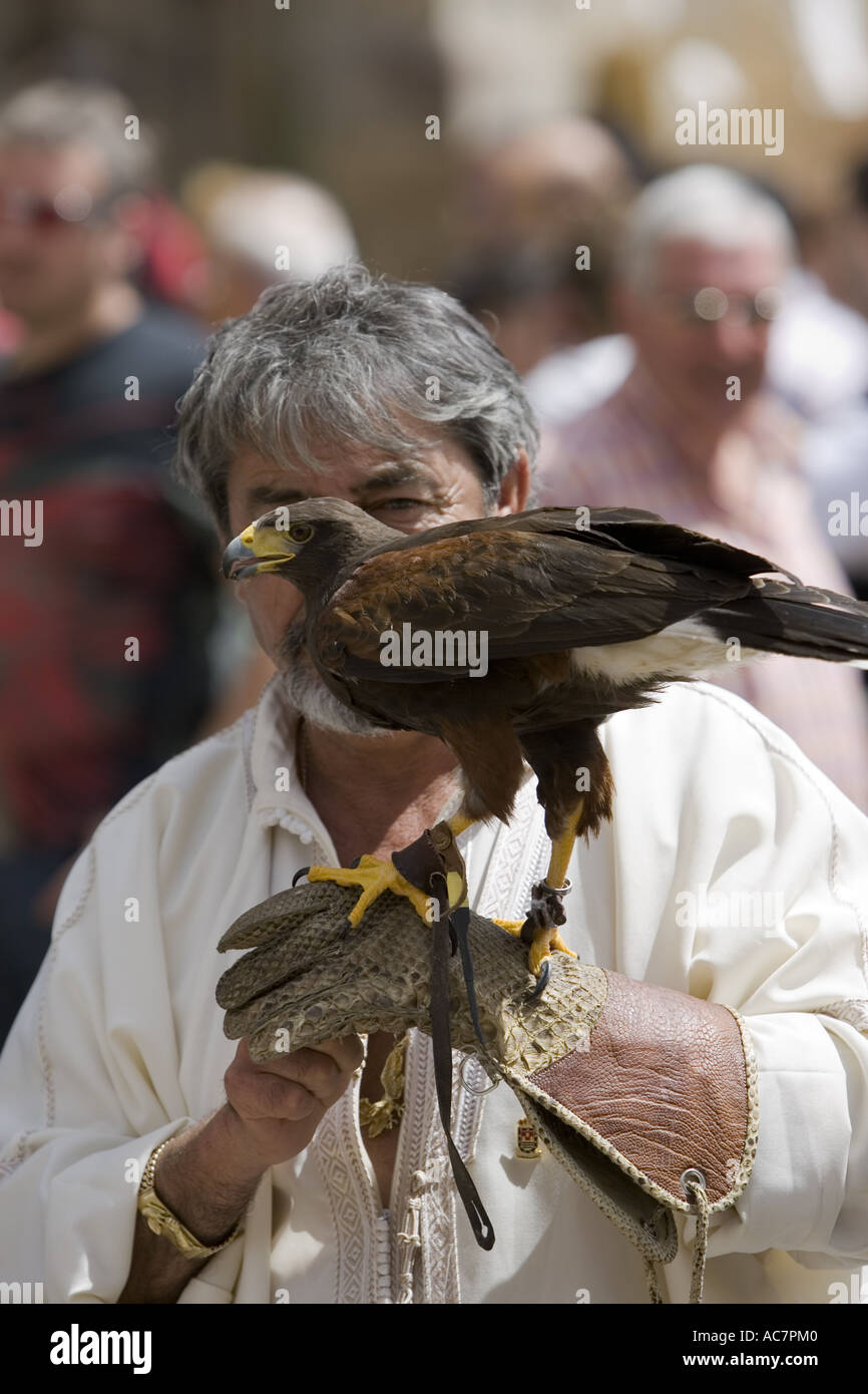 Hand hawk hi-res stock photography and images - Alamy