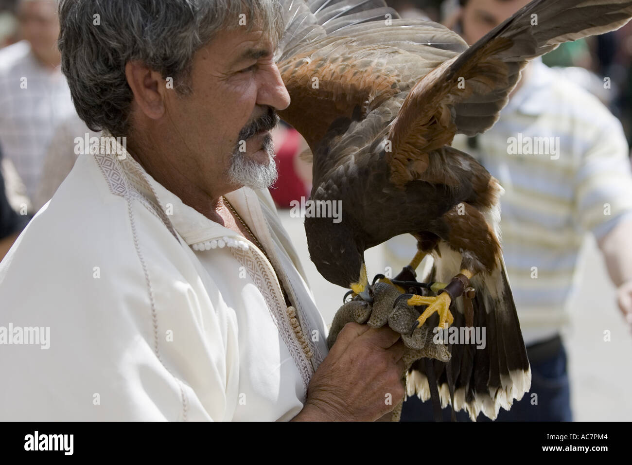 Hawk and handler during medieval market, Balmaseda, Basque Country ...